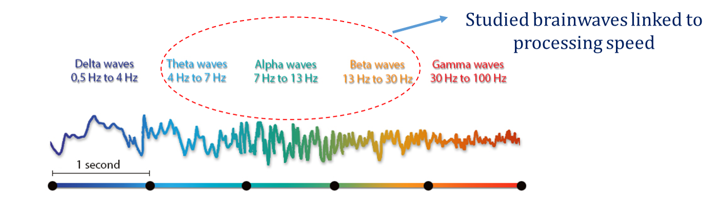 Can brain technology increase mental processing speed? – Cristina Gil ...