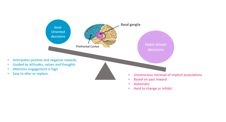 Food Preferences: How the Brain Drives our Eating Behavior – Cristina ...